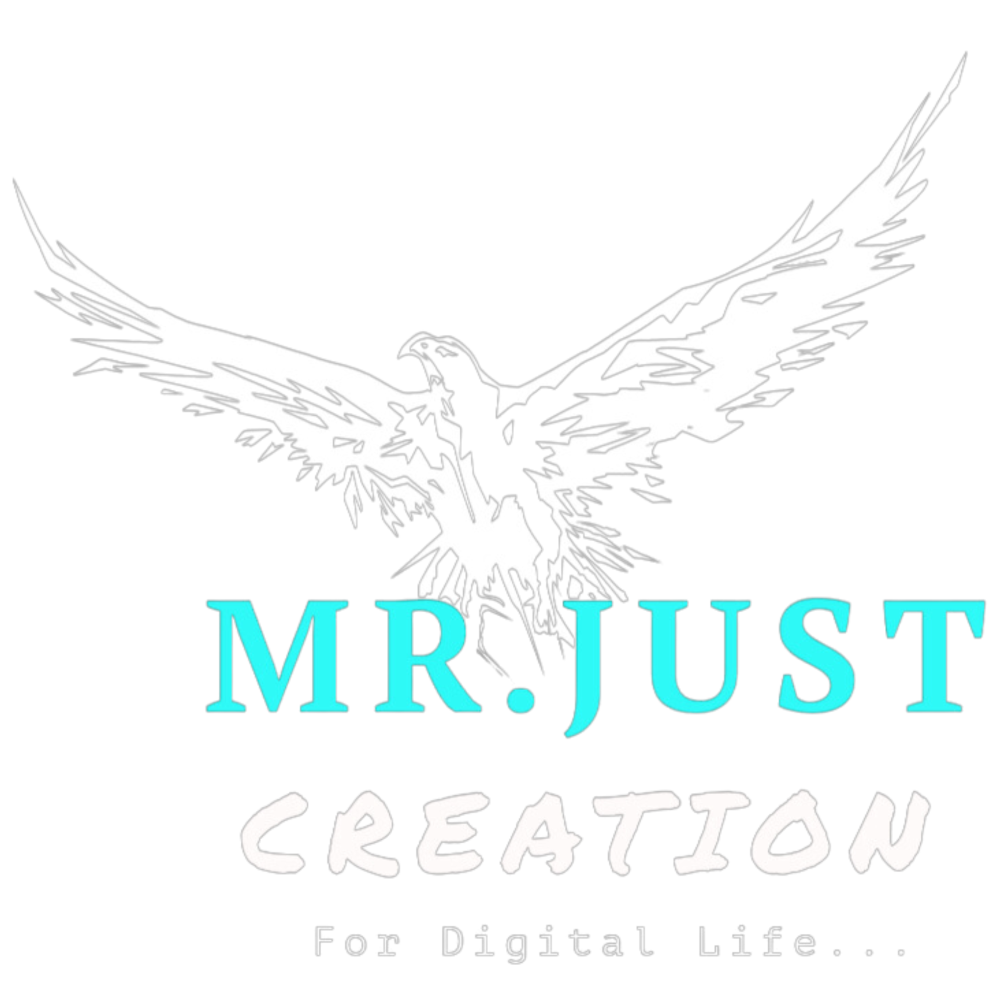 Mr. Just Creation
